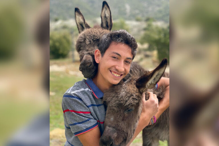 Donkey Behavior: The Ultimate Guide to Knowing Your Long-Eared Friends