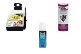 How to Get Rid of Flies on Your Donkey? [Plus Prevention Methods]